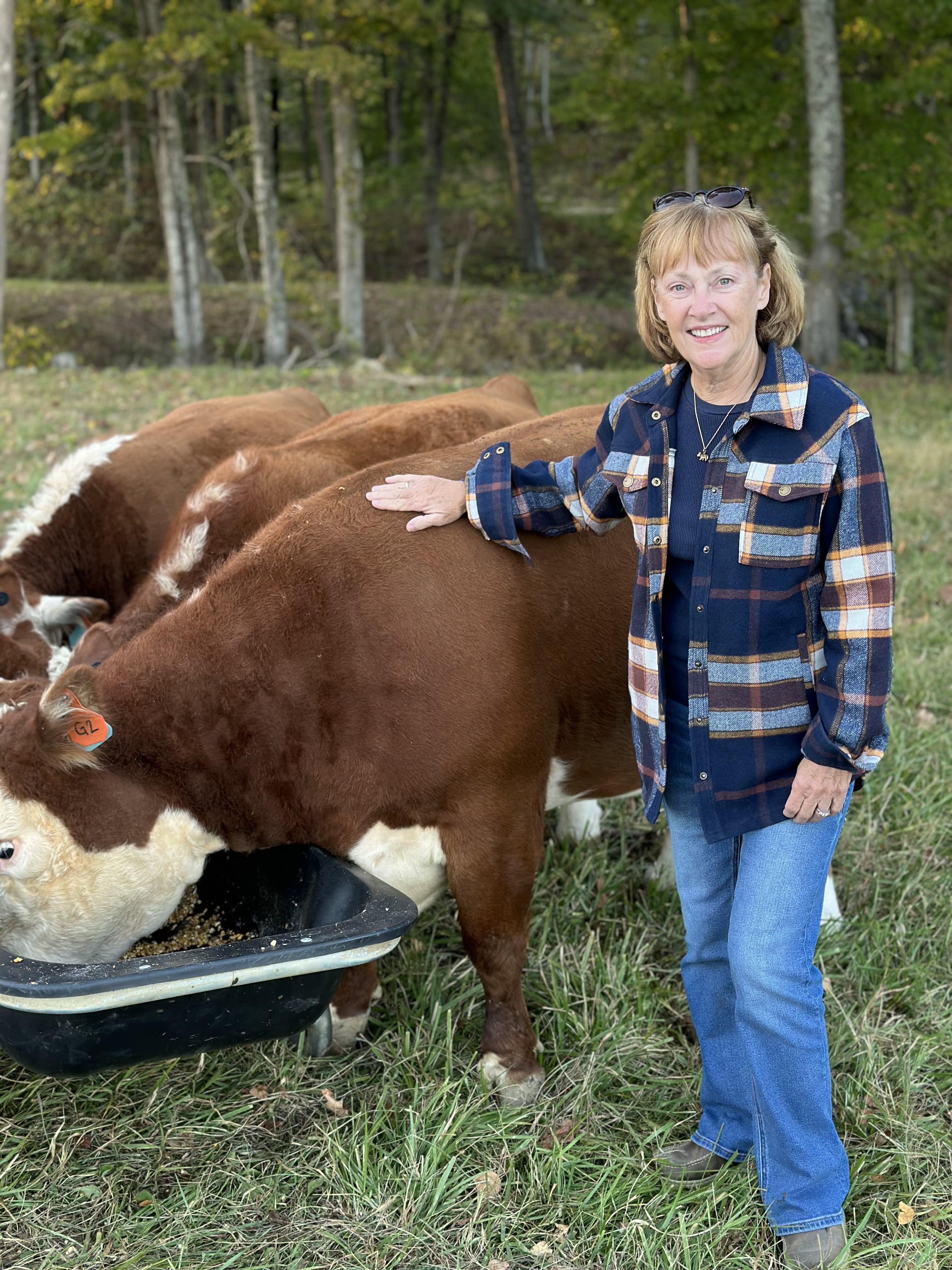 Making It Small Miniature Herefords May Be Small But Their Popularity Is Growing